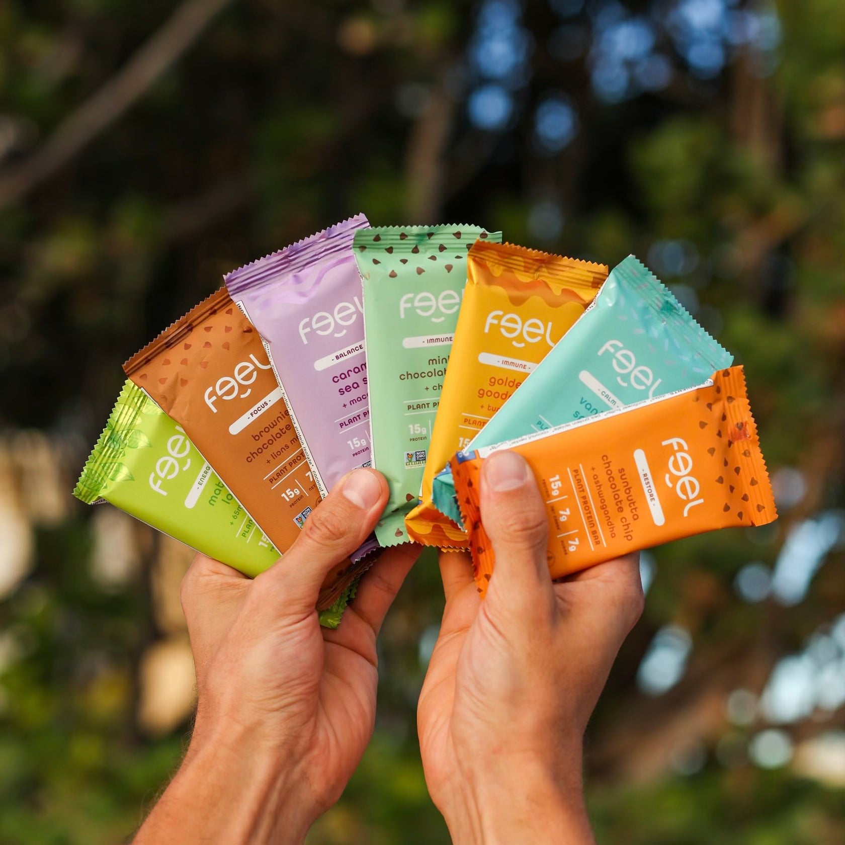 Feel Bars - Functional Vegan Protein Bars - Variety Pack 🥇 – The Feel Bar