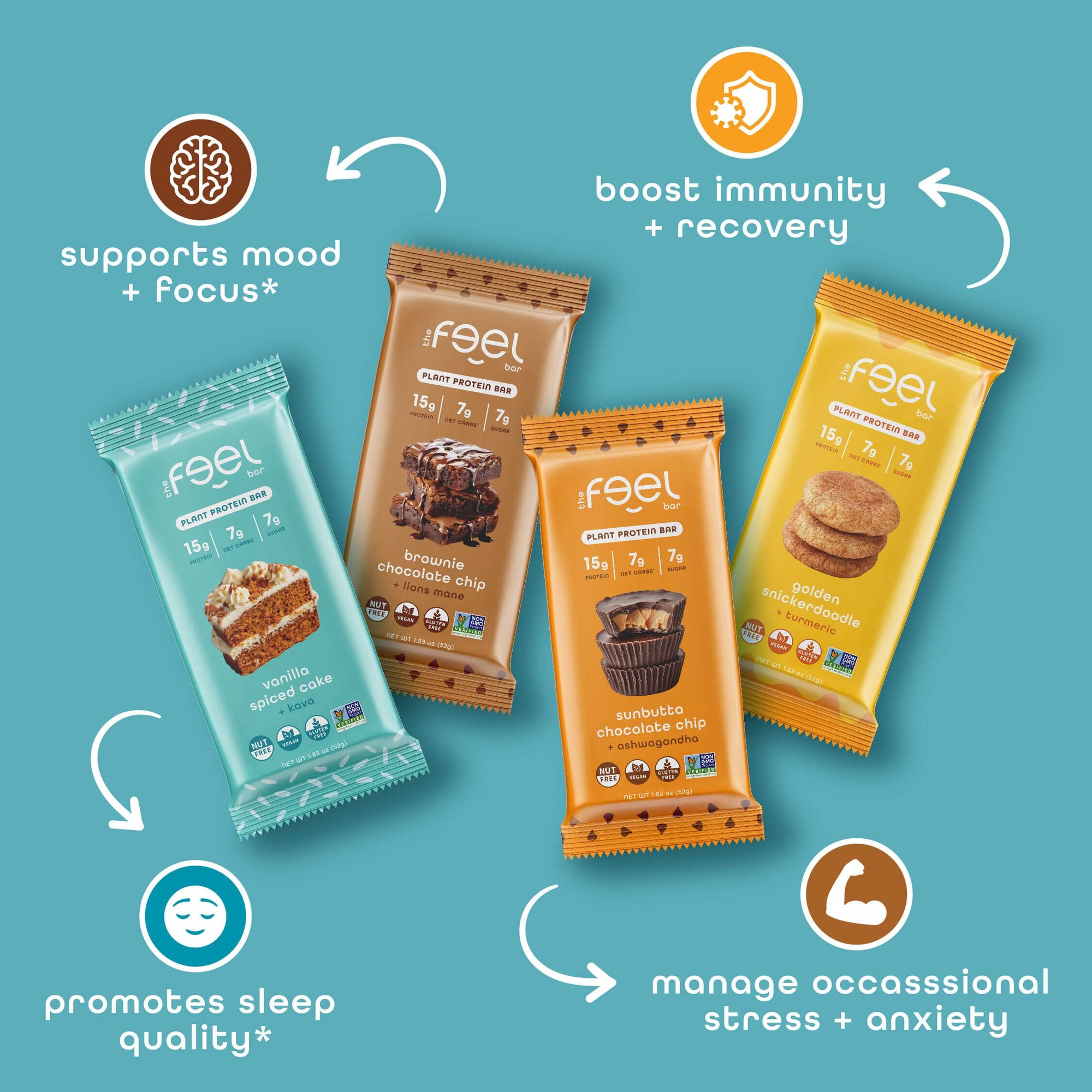 Feel Bars - Functional Vegan Protein Bars - Variety Pack 🥇 – The Feel Bar