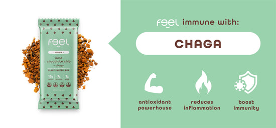 Feel Bars - Functional Vegan Protein Bars - Variety Pack 🥇 – The Feel Bar