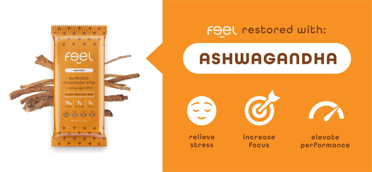 Feel Bars - Mint Chocolate Chip - Functional Plant Protein Bars (10 ...